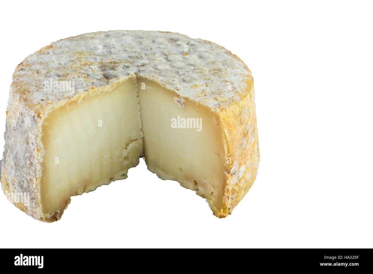 The form of hard cheese of a bloomy rind goat's milk, frost crust ...