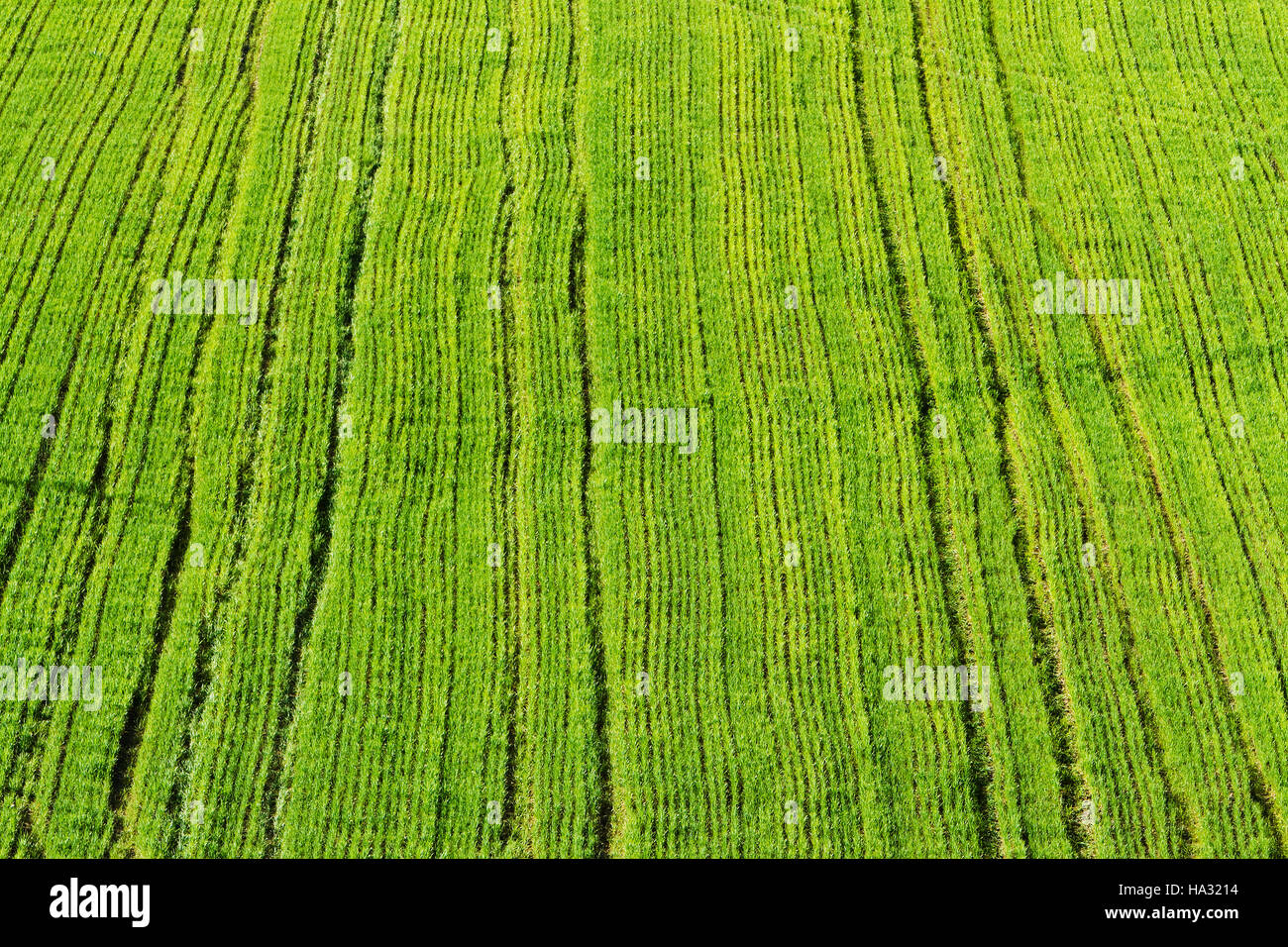 Soratte mount hi-res stock photography and images - Alamy