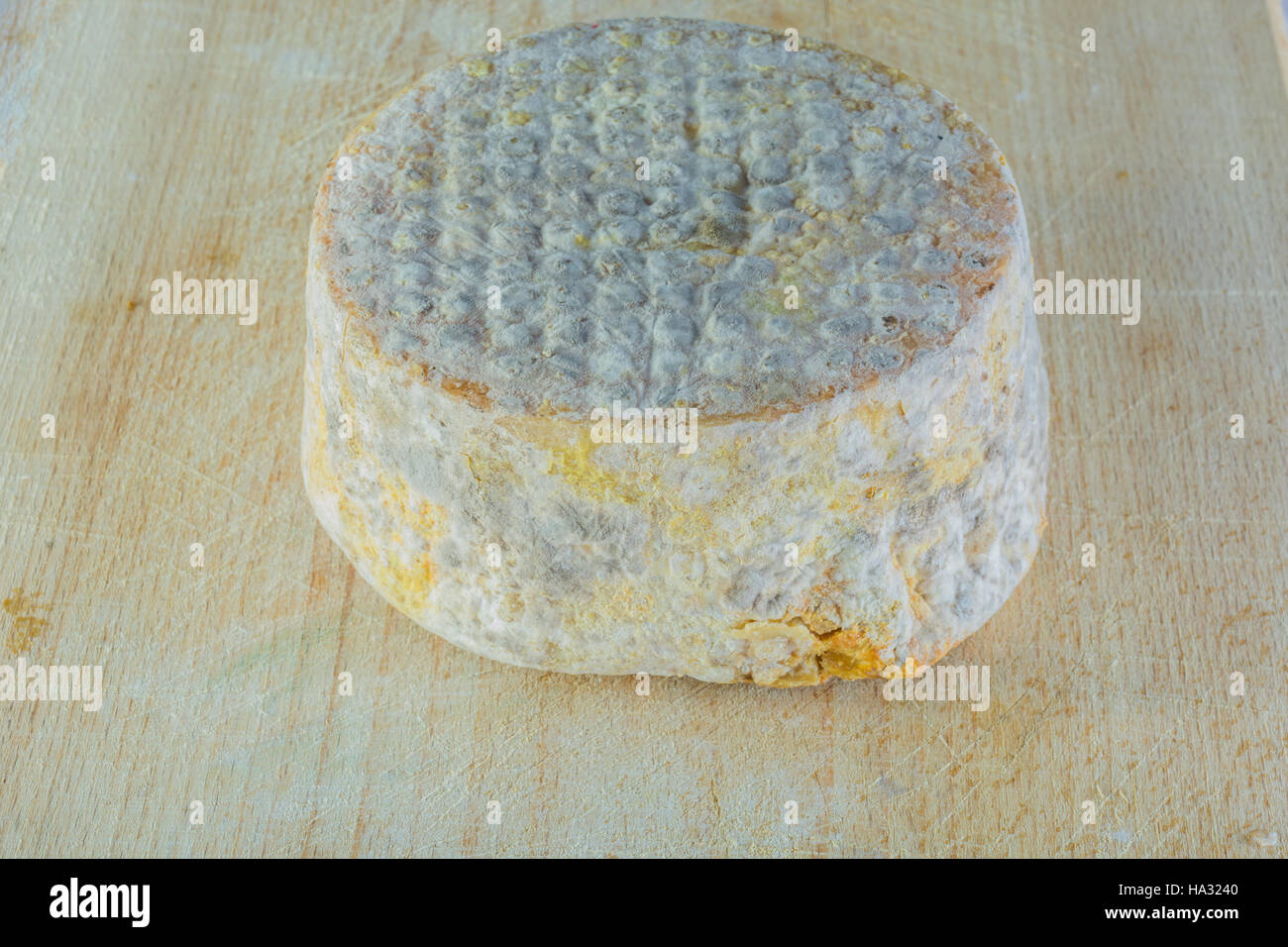 The form of hard cheese of a bloomy rind goat's milk, frost crust ...