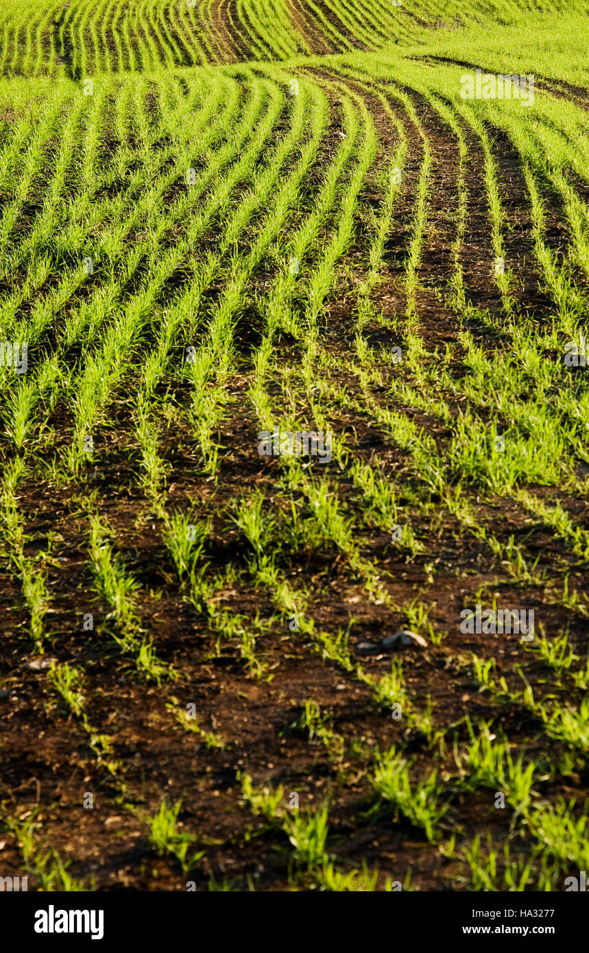 Countryside at the foot of Mount Soratte Stock Photo - Alamy
