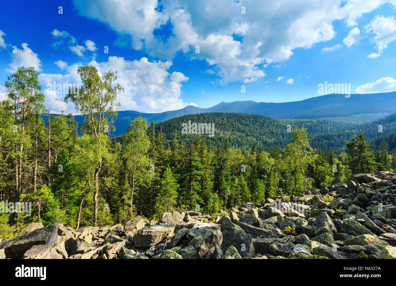 Carpathian Mountain (Ukraine) summer landscape with sky and cumulus clouds, fir forest and slide ...