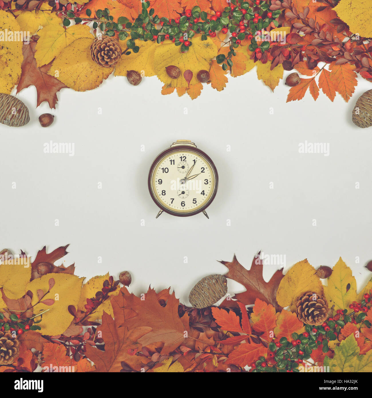 Autumn leaves cones and acorn on white background with antique clock in ...