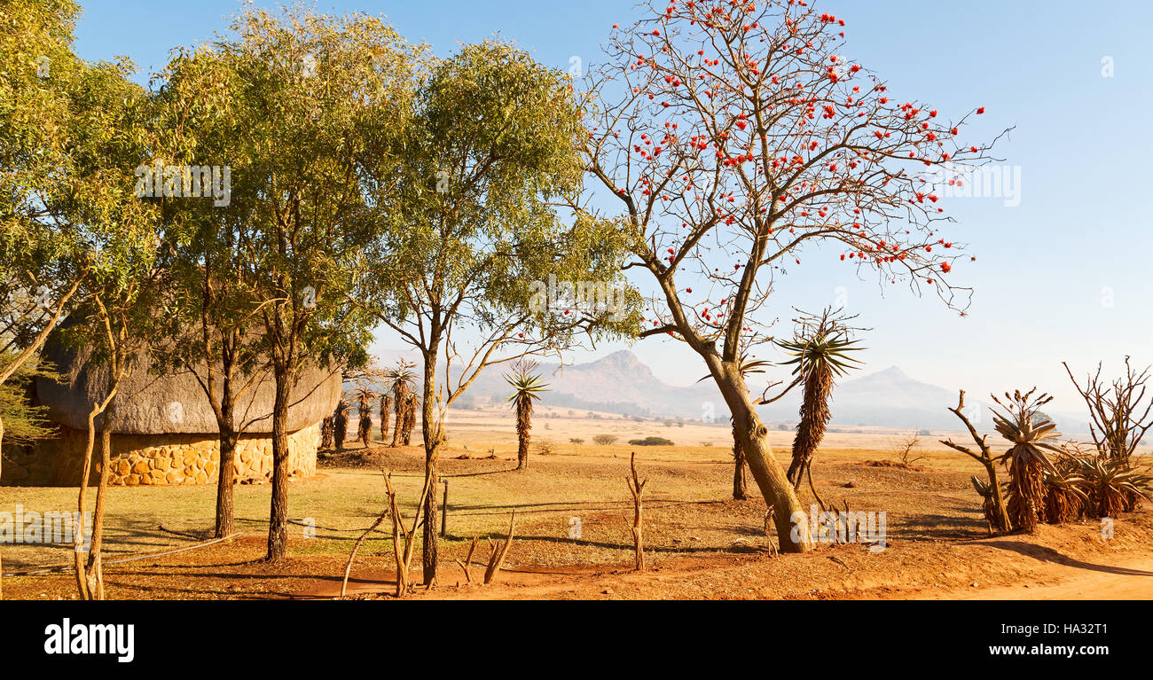 blur in swaziland mlilwane wildlife nature reserve mountain and tree ...