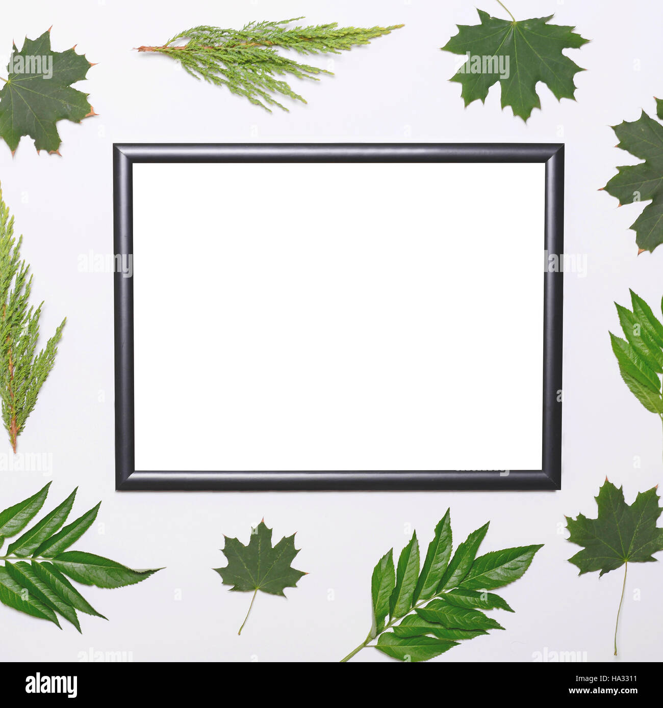 Empty frame with green leaves on white background - Flat lay mock up ...