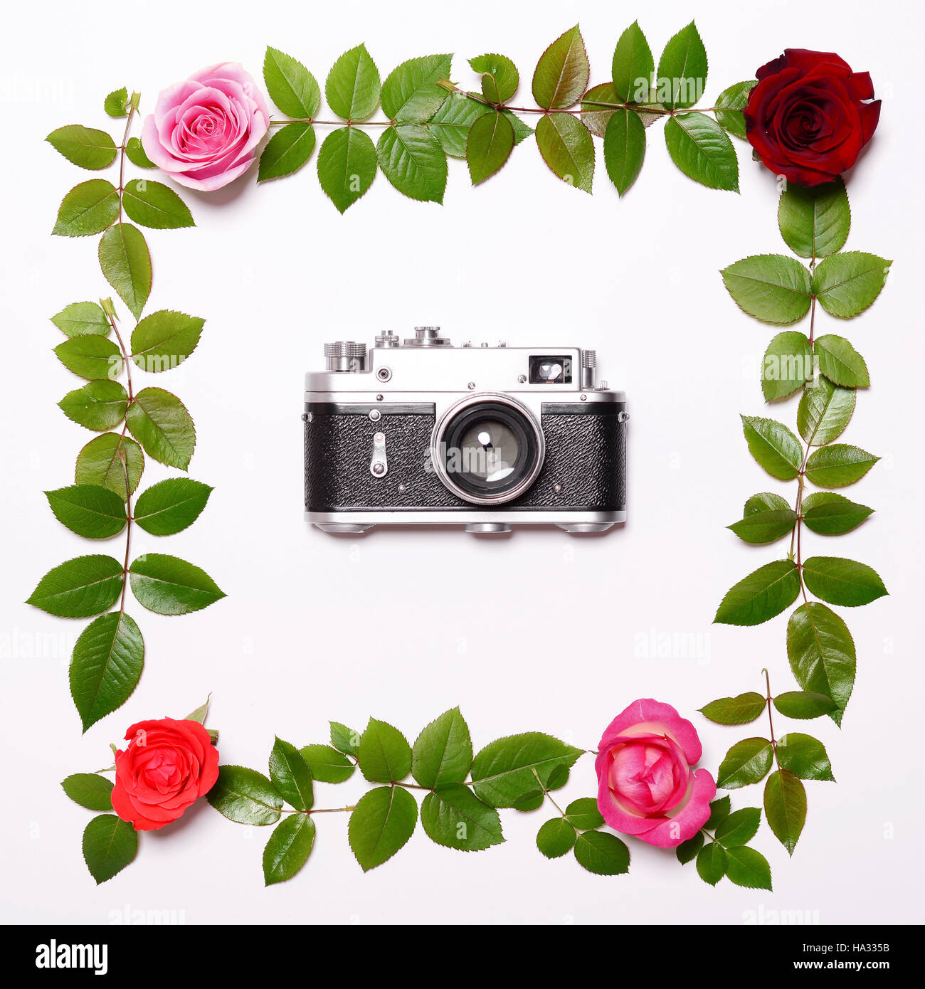Flower wallpaper retro photograph hi-res stock photography and images ...