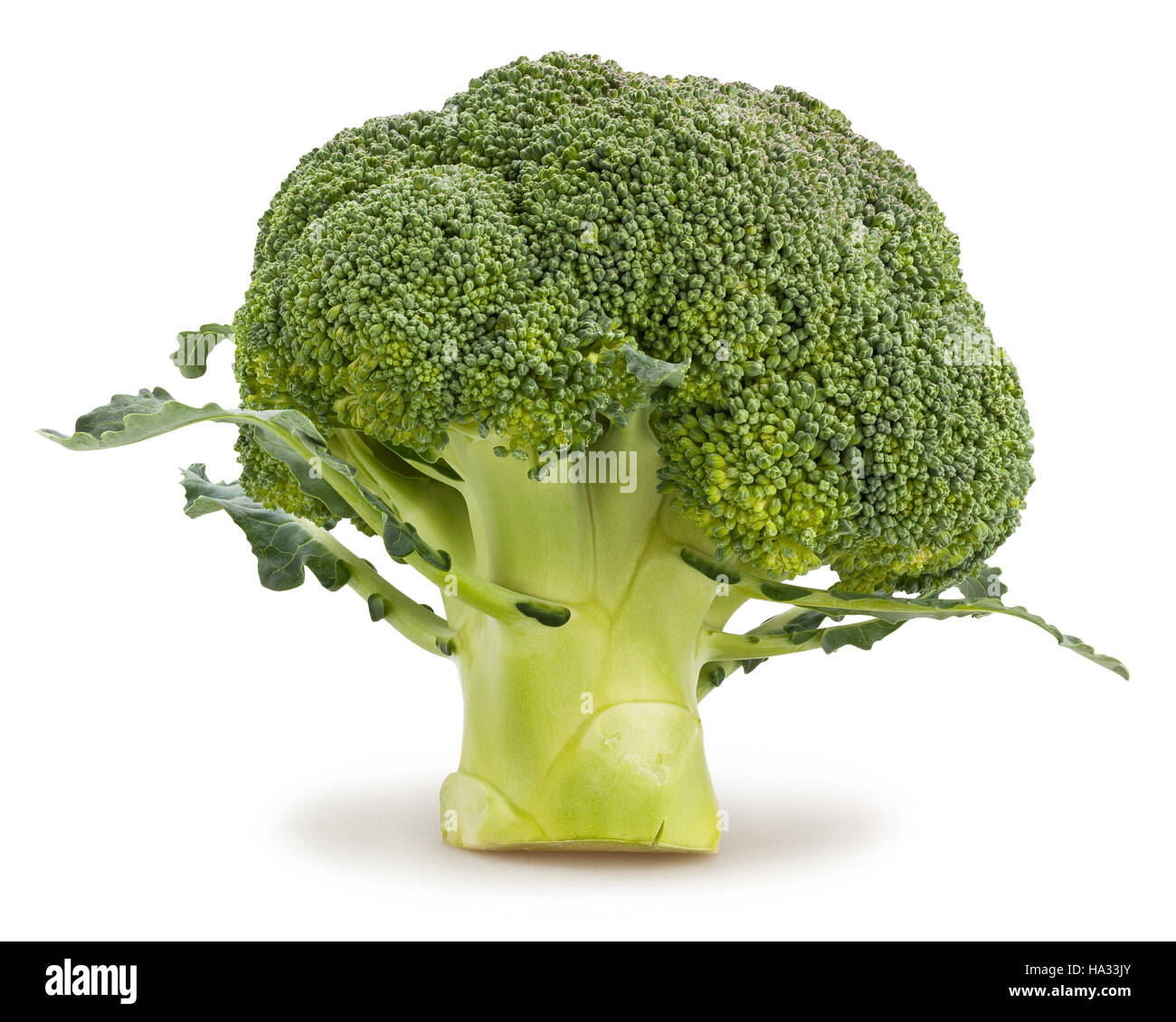 Closeup broccoli hi-res stock photography and images - Alamy