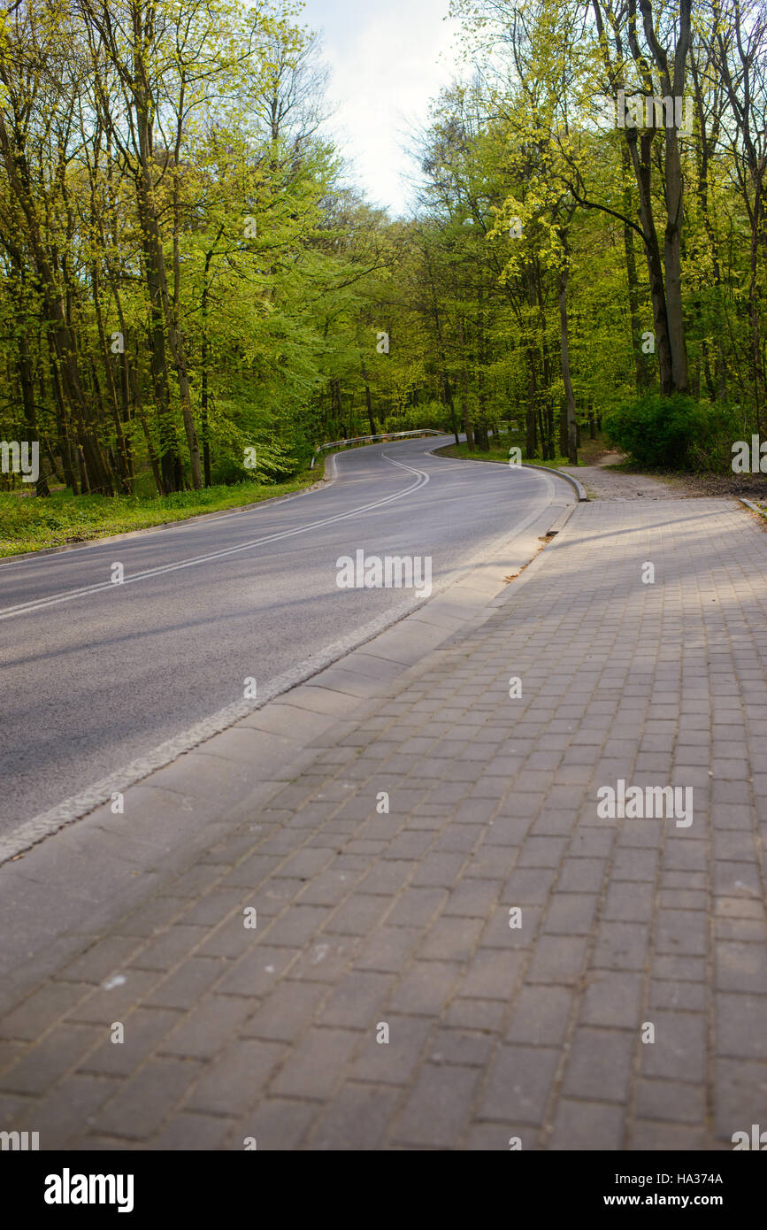 A asphalt road in the forest in early spring time Stock Photo - Alamy