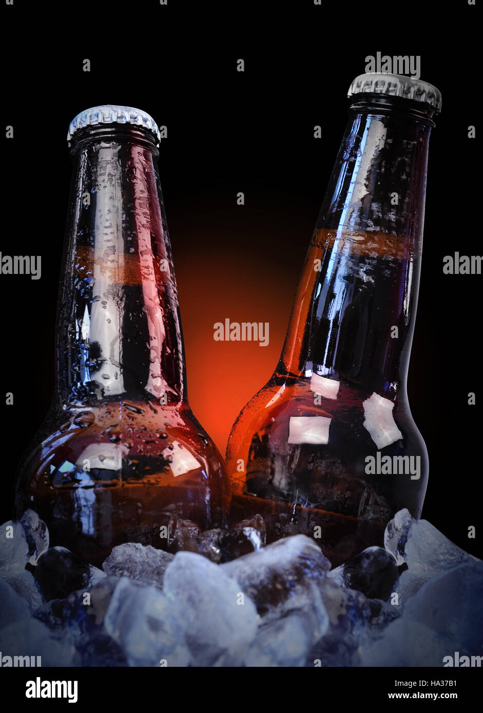 Two cold glass beer bottles are wet with waterdrops on ice with a black ...
