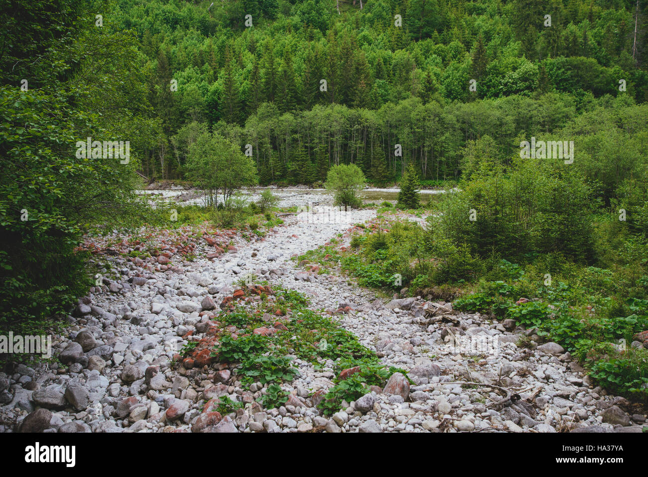 hiking stone path in the mountains in summer Stock Photo - Alamy