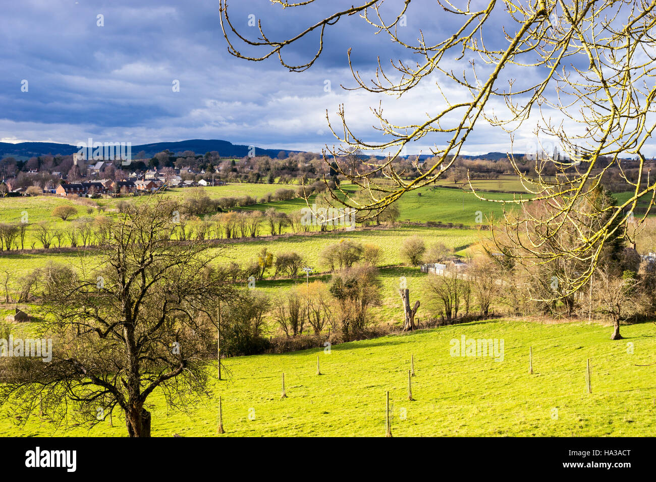 Leintwardine hi-res stock photography and images - Alamy