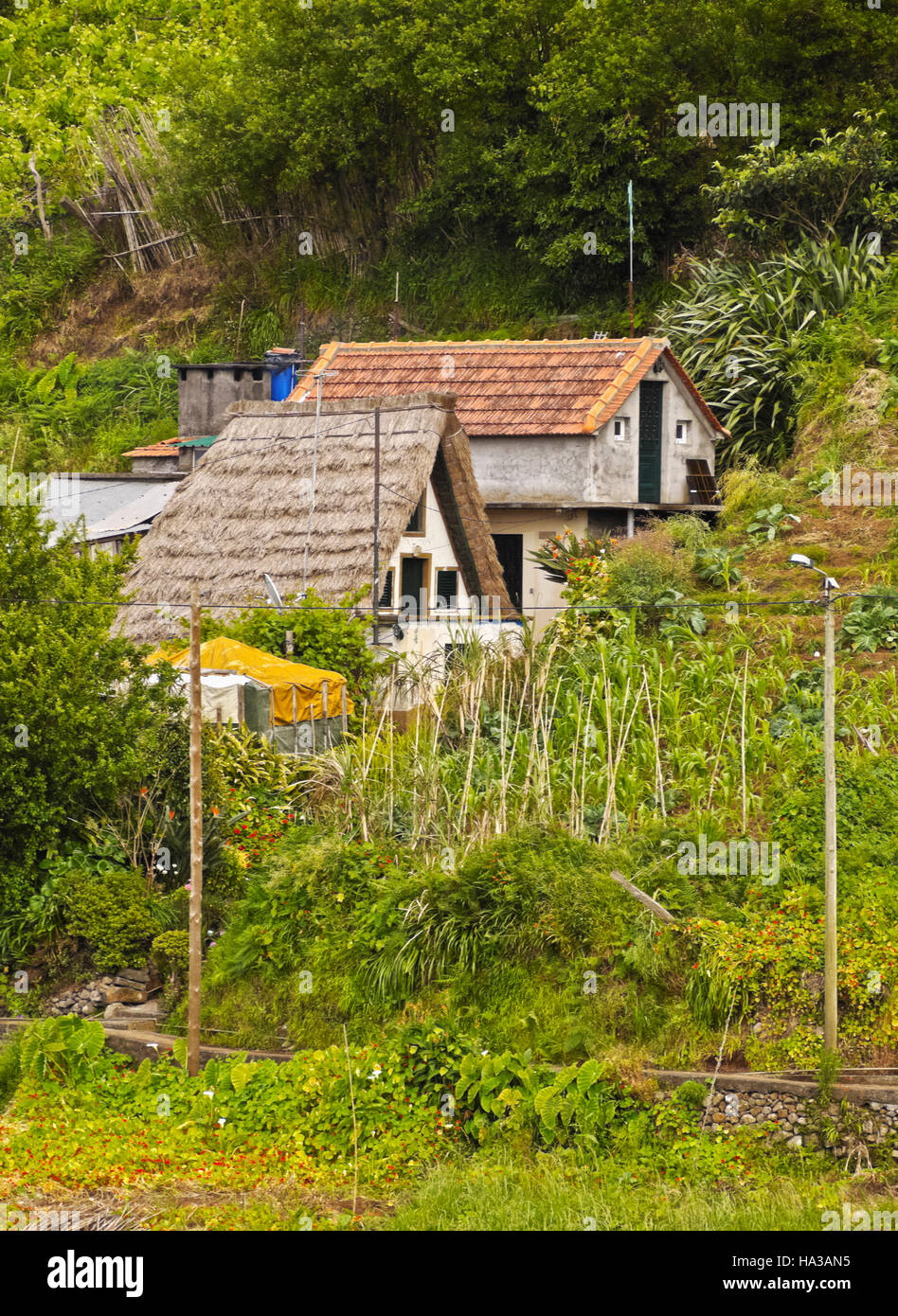 Portugal, Madeira, Traditional Rural House in Santana Stock Photo - Alamy