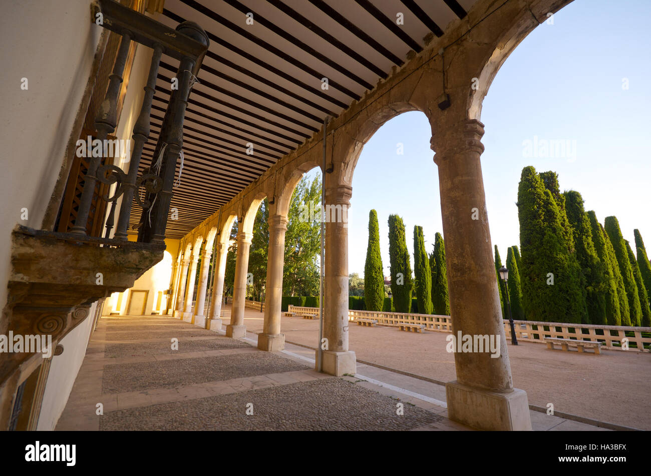 Palacio de los duques del Infantado, Guadalajara Spain Stock Photo - Alamy