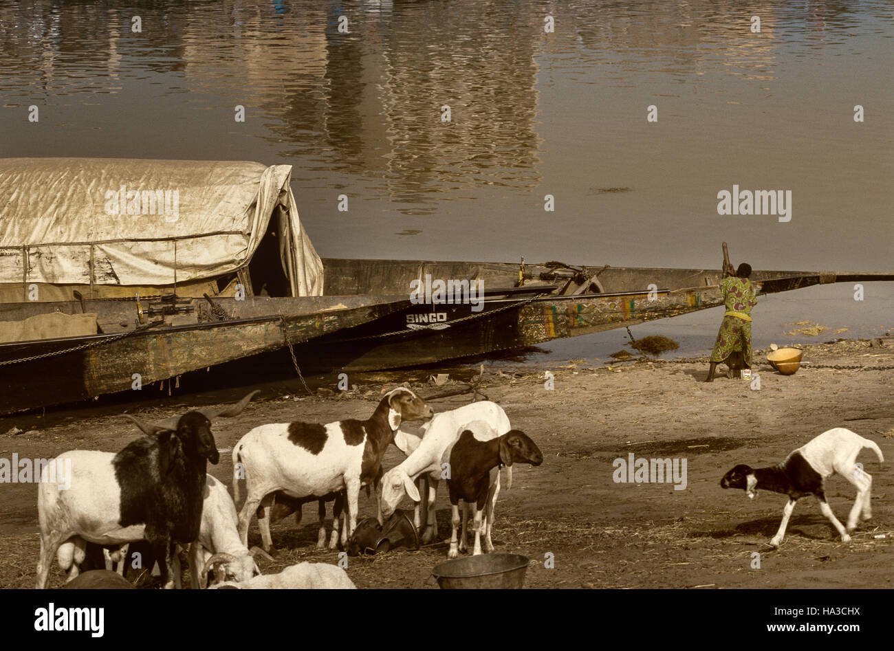 Mali africa mopti niger river fish hi-res stock photography and images ...