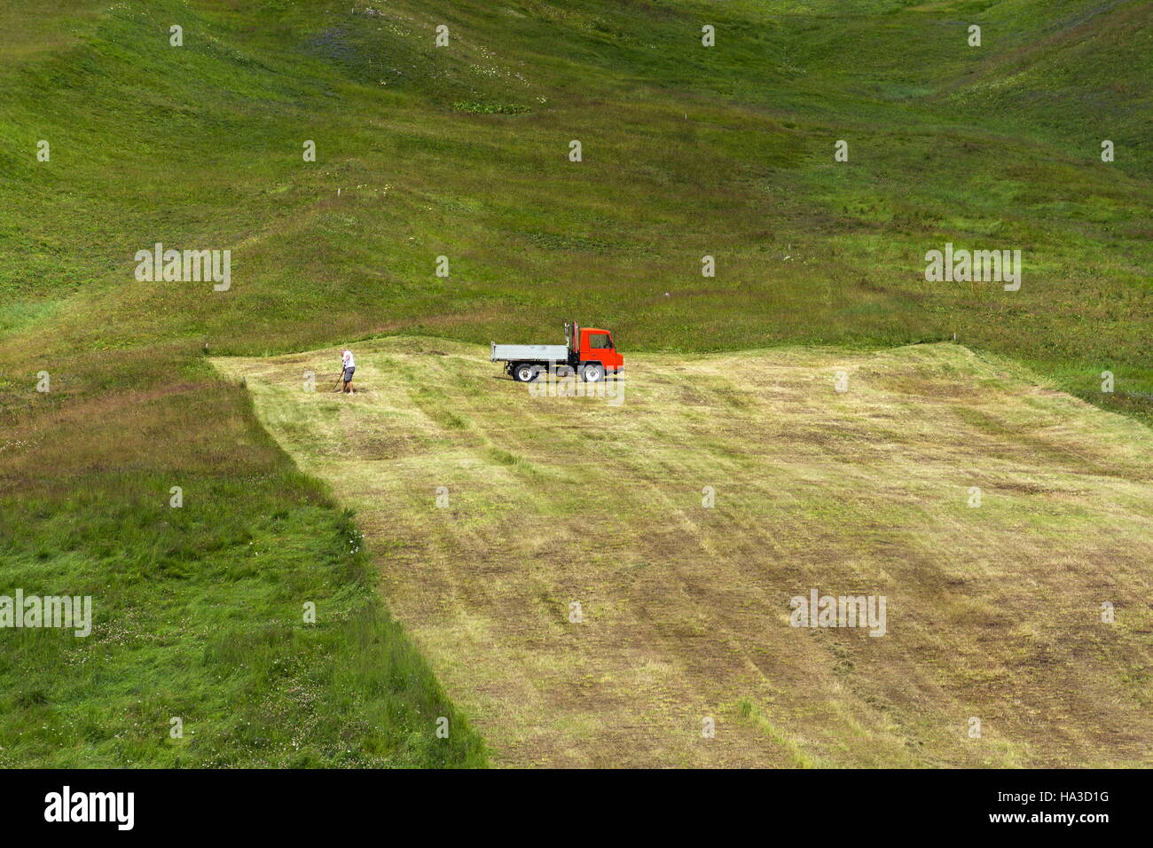 Man rakes hay with truck on steep hillside, Livigno, Italy Stock Photo ...