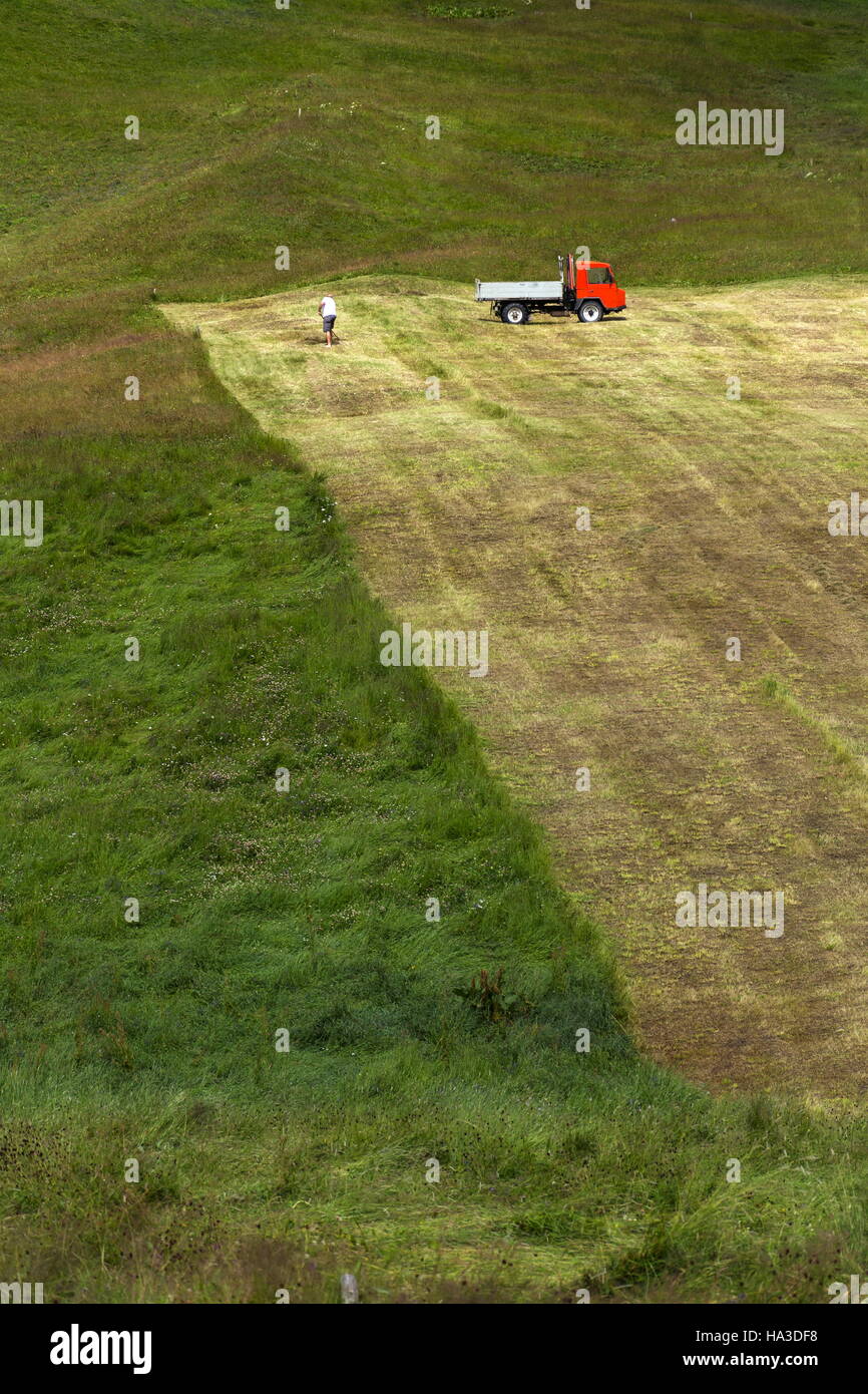 Man rakes hay with truck on steep hillside, Livigno, Italy Stock Photo ...