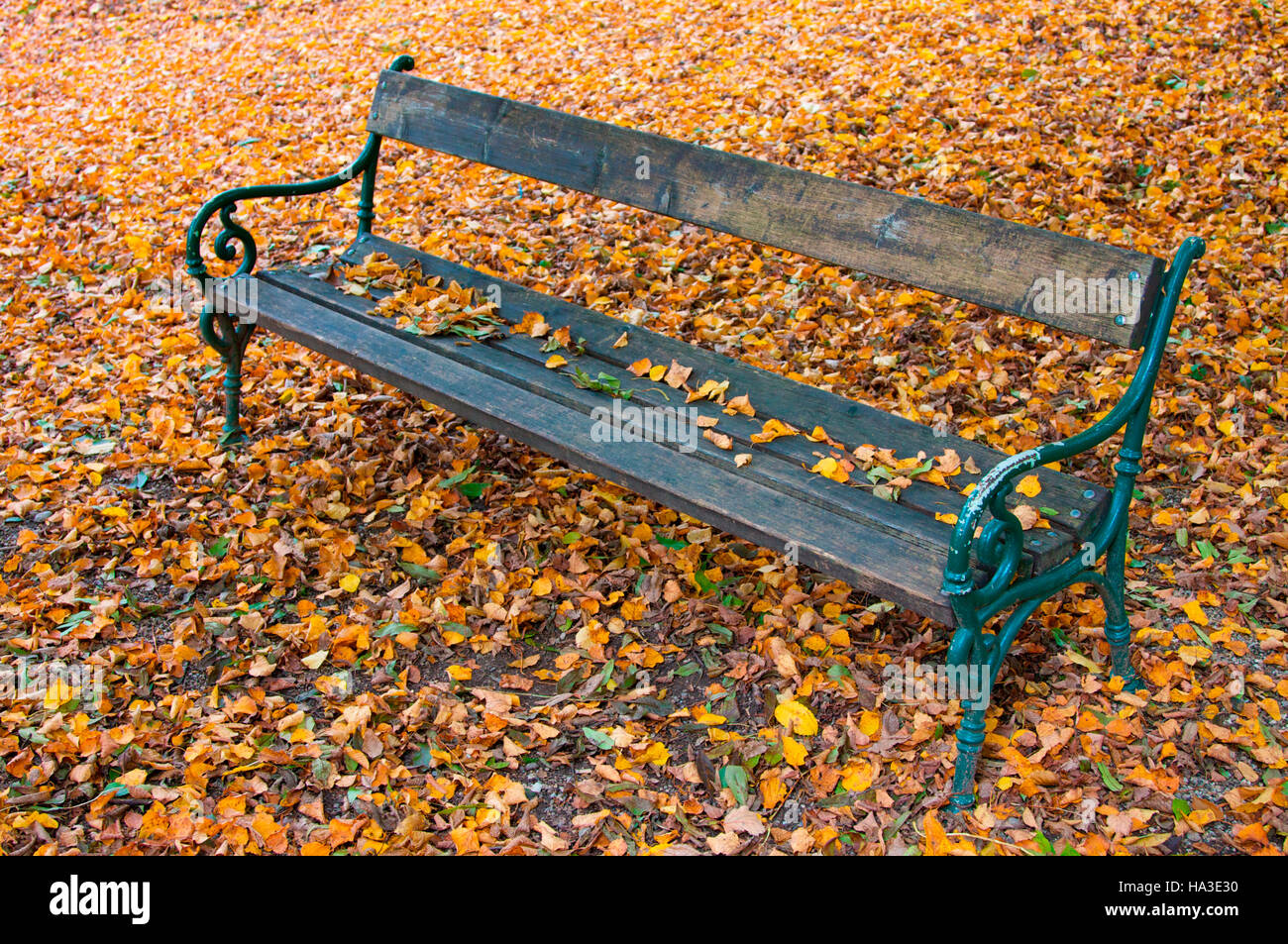 Park bench in autumn Stock Photo - Alamy