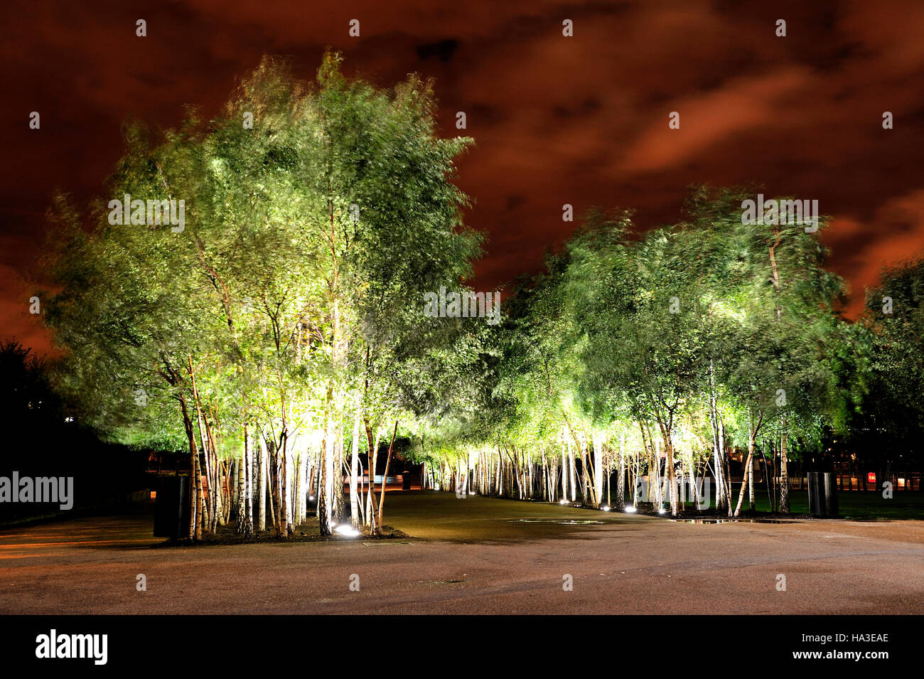 The trees at the front of the Tate Modern on the South Bank of the ...
