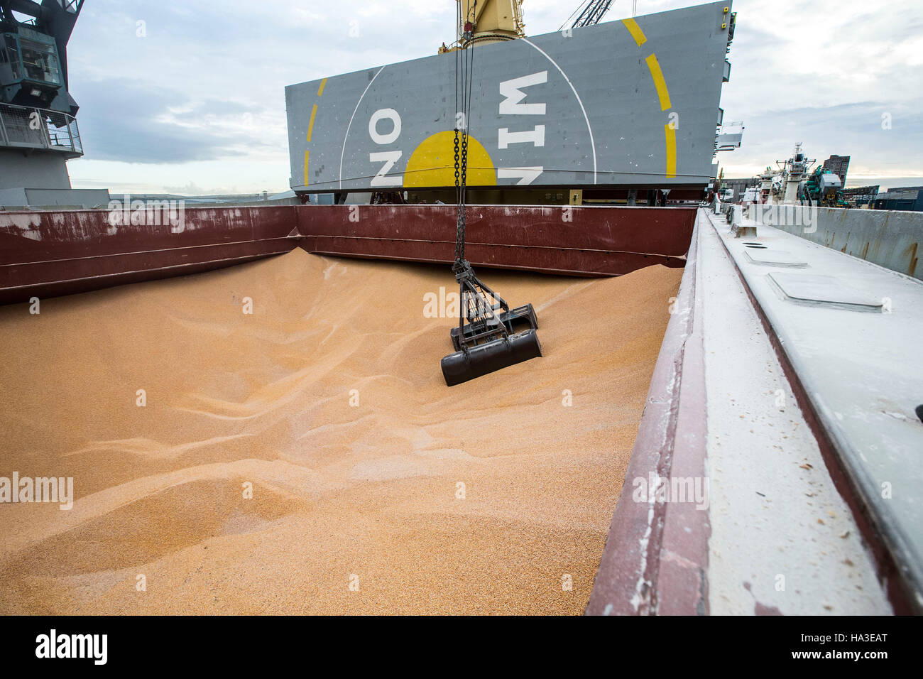 maize being unloaded from tanker Stock Photo - Alamy