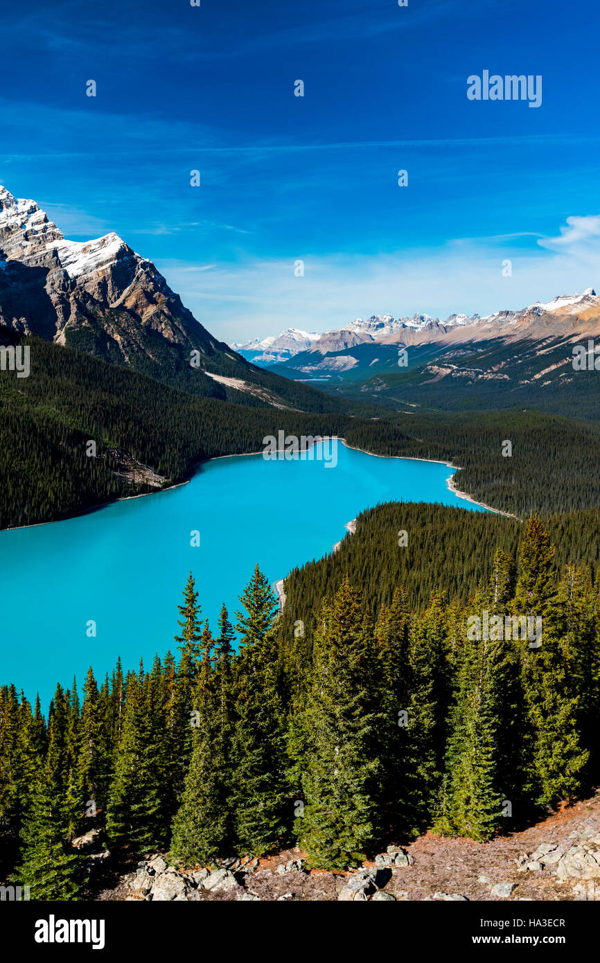 Vibrant Blue Peyto Lake from Bow summit Banff National Park, Alberta ...