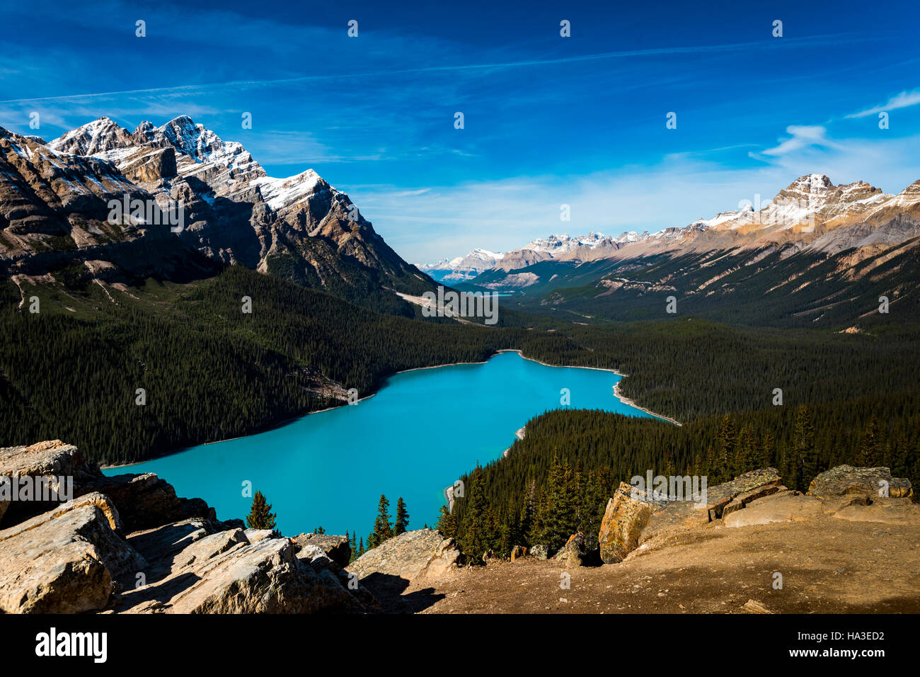 Vibrant Blue Peyto Lake from Bow summit Banff National Park, Alberta ...