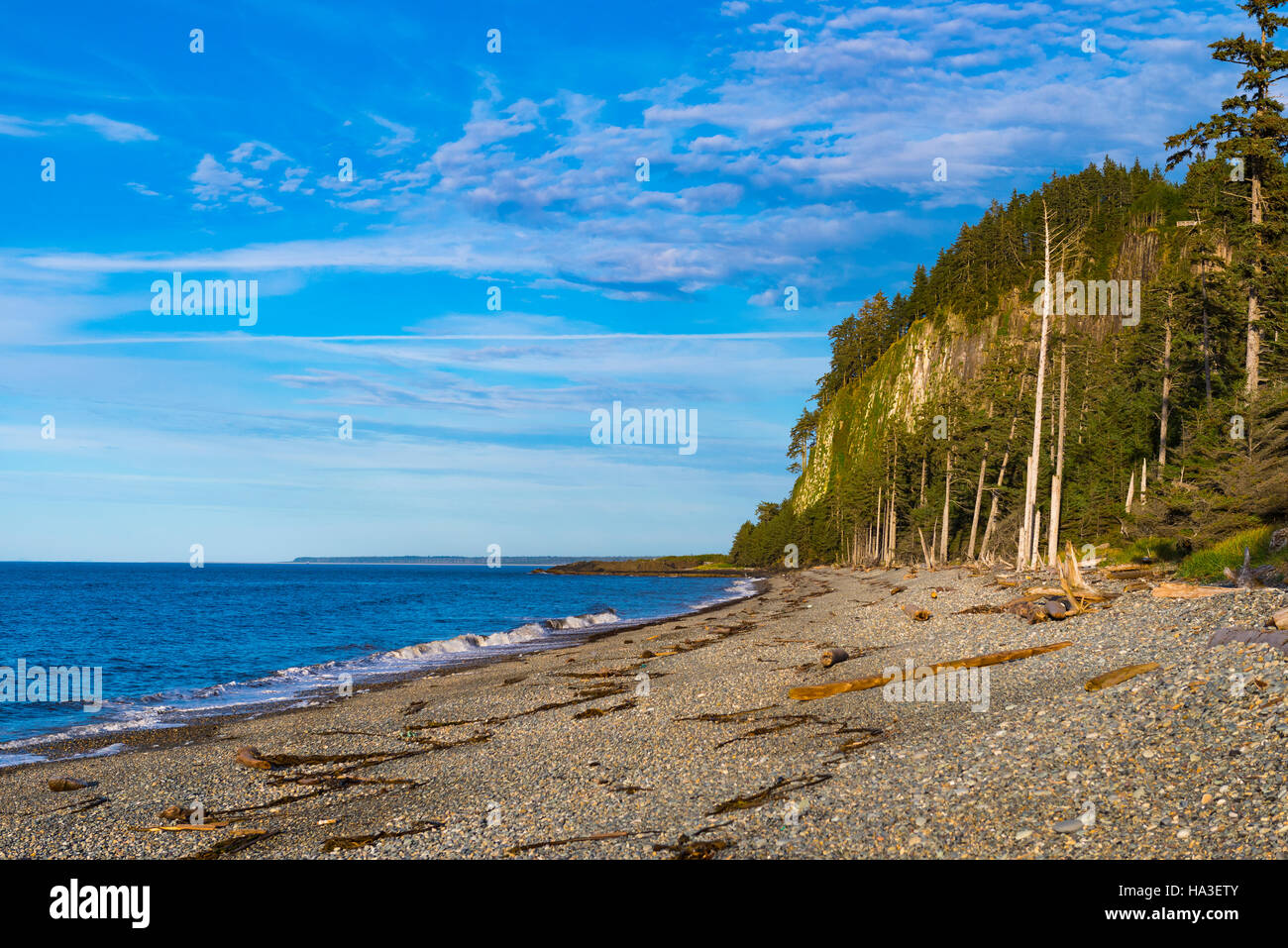 Coastal ocean views Haida Gwaii British Columbia Canada Stock Photo - Alamy