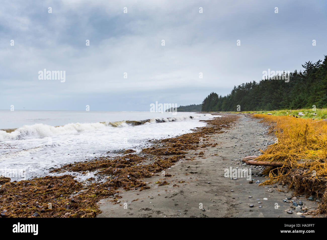 Coastal ocean views Haida Gwaii British Columbia Canada Stock Photo - Alamy