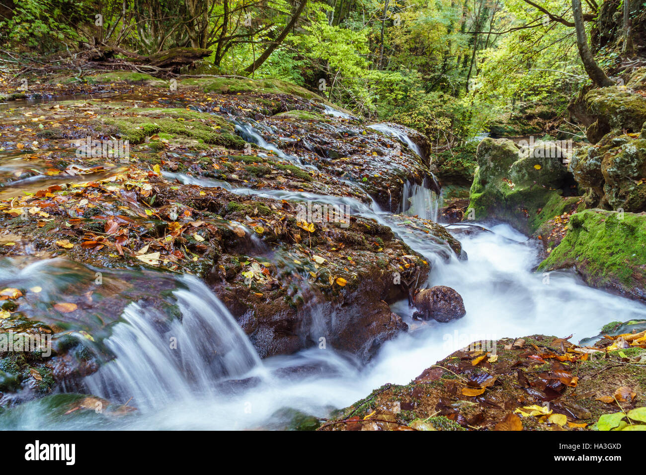 Black forest water fall hi-res stock photography and images - Alamy