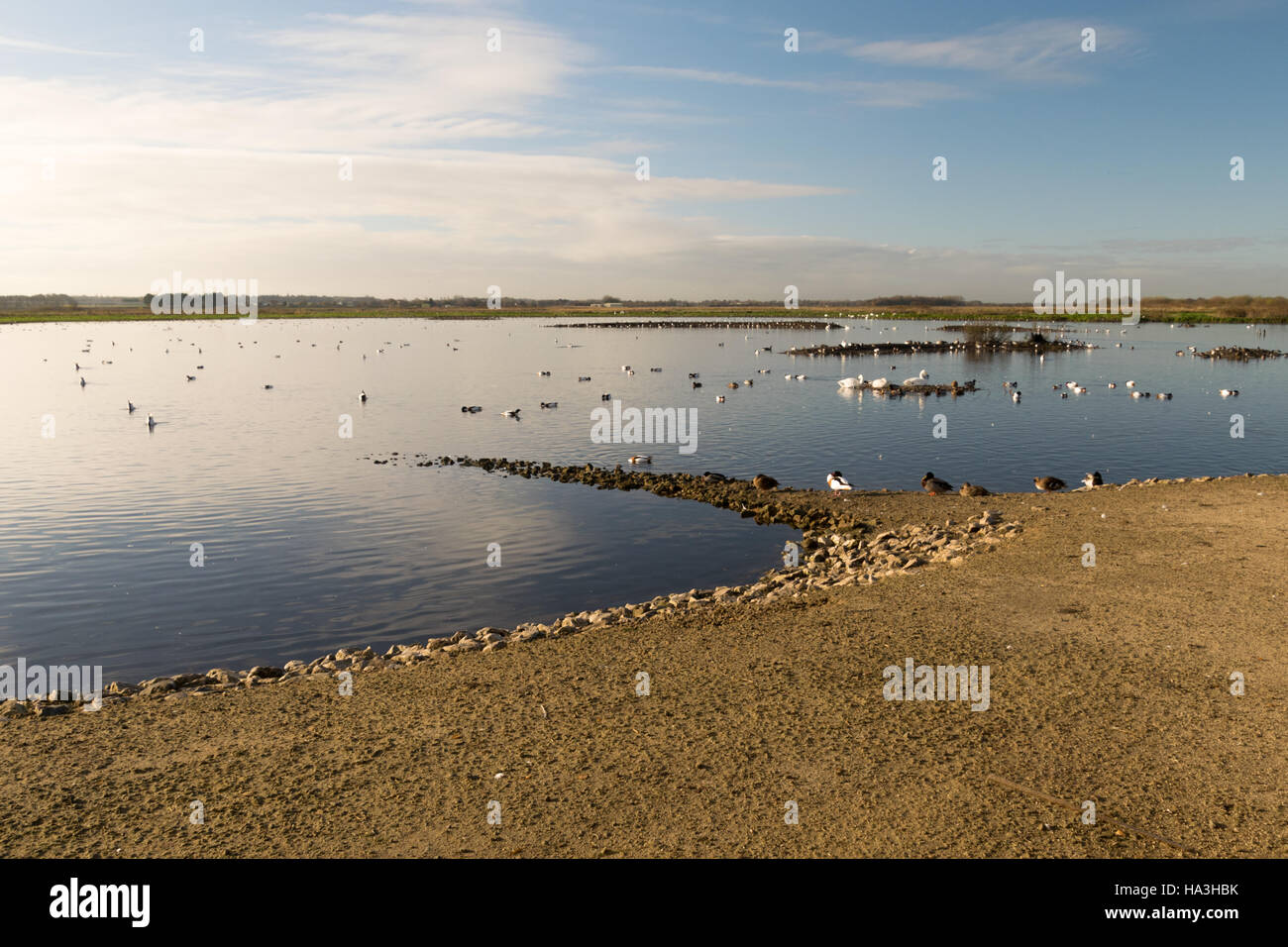 wader lake at martin mere wetland centre Stock Photo - Alamy