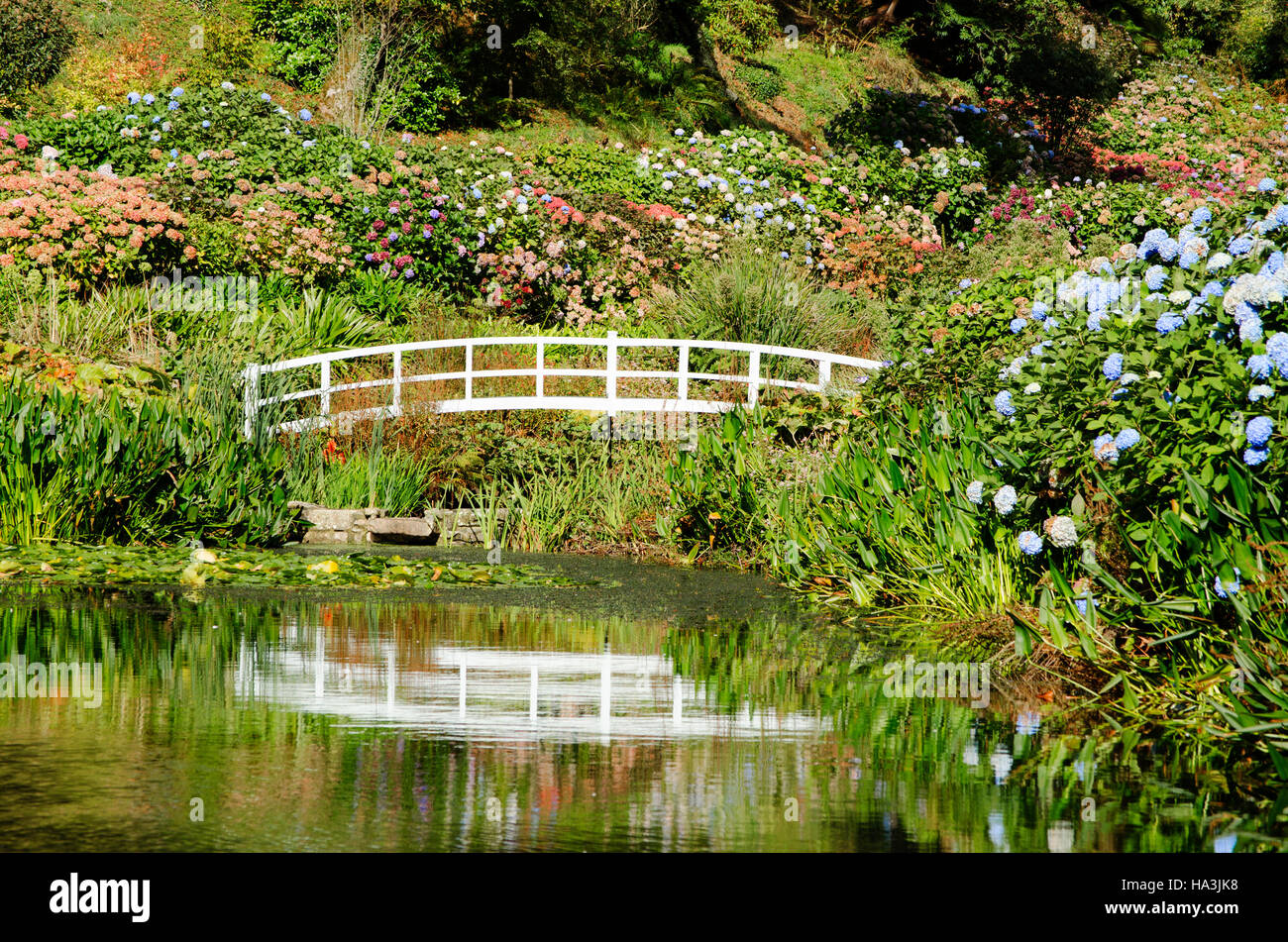 Trebah gardens near Mawnan-Smith in Cornwall, England, UK Stock Photo ...