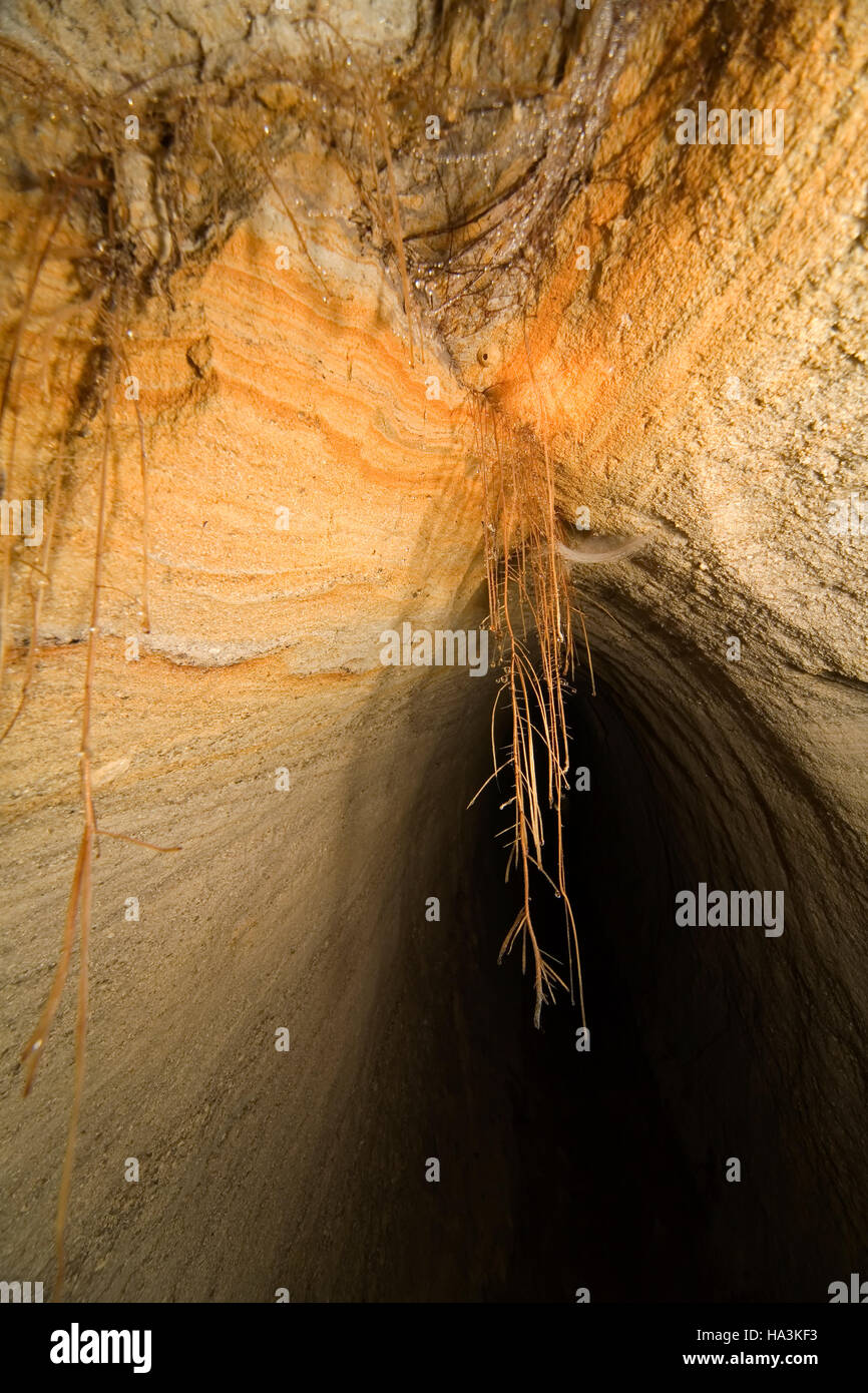 Cave Pollution High Resolution Stock Photography and Images - Alamy