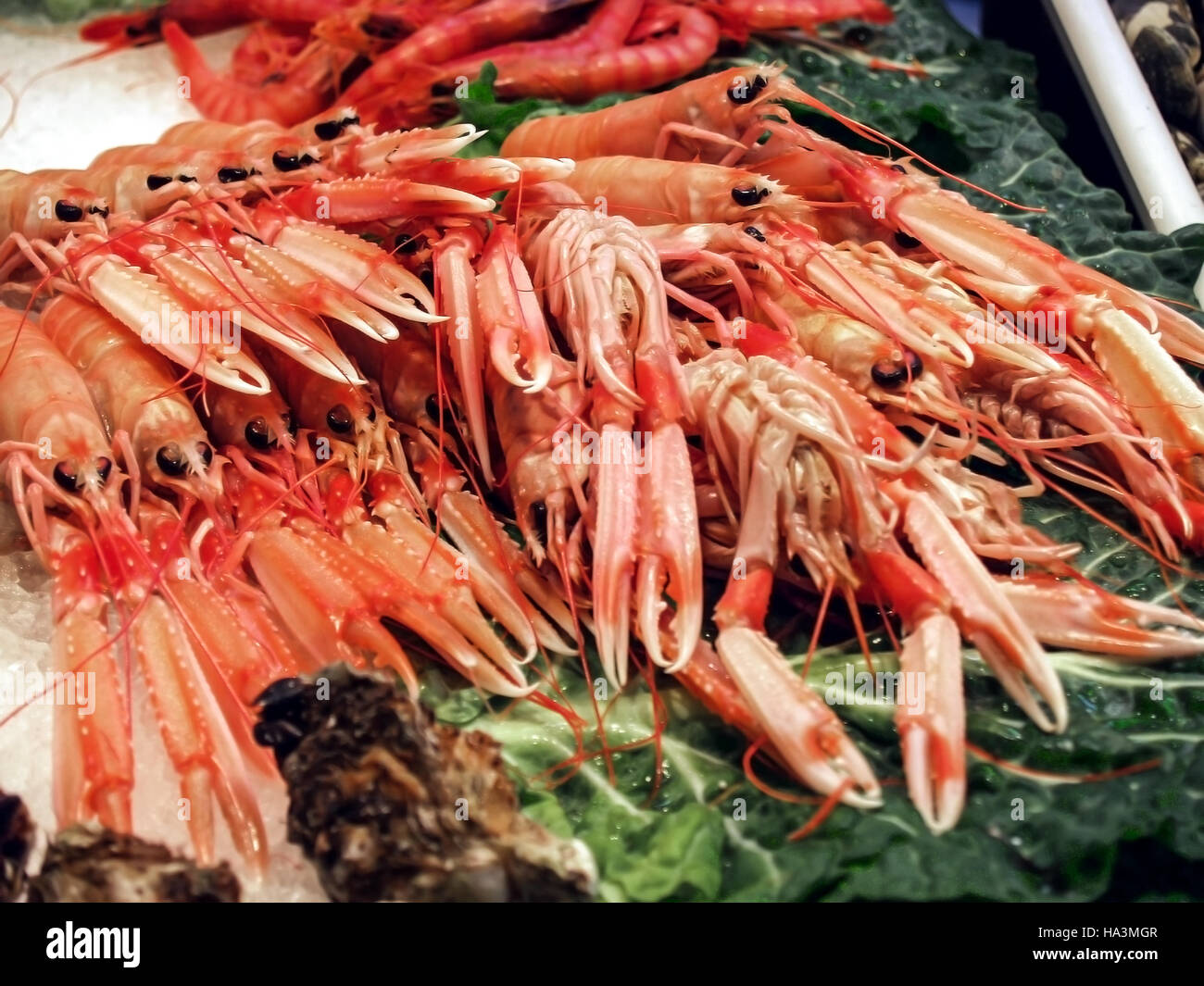 Langostina High Resolution Stock Photography and Images - Alamy
