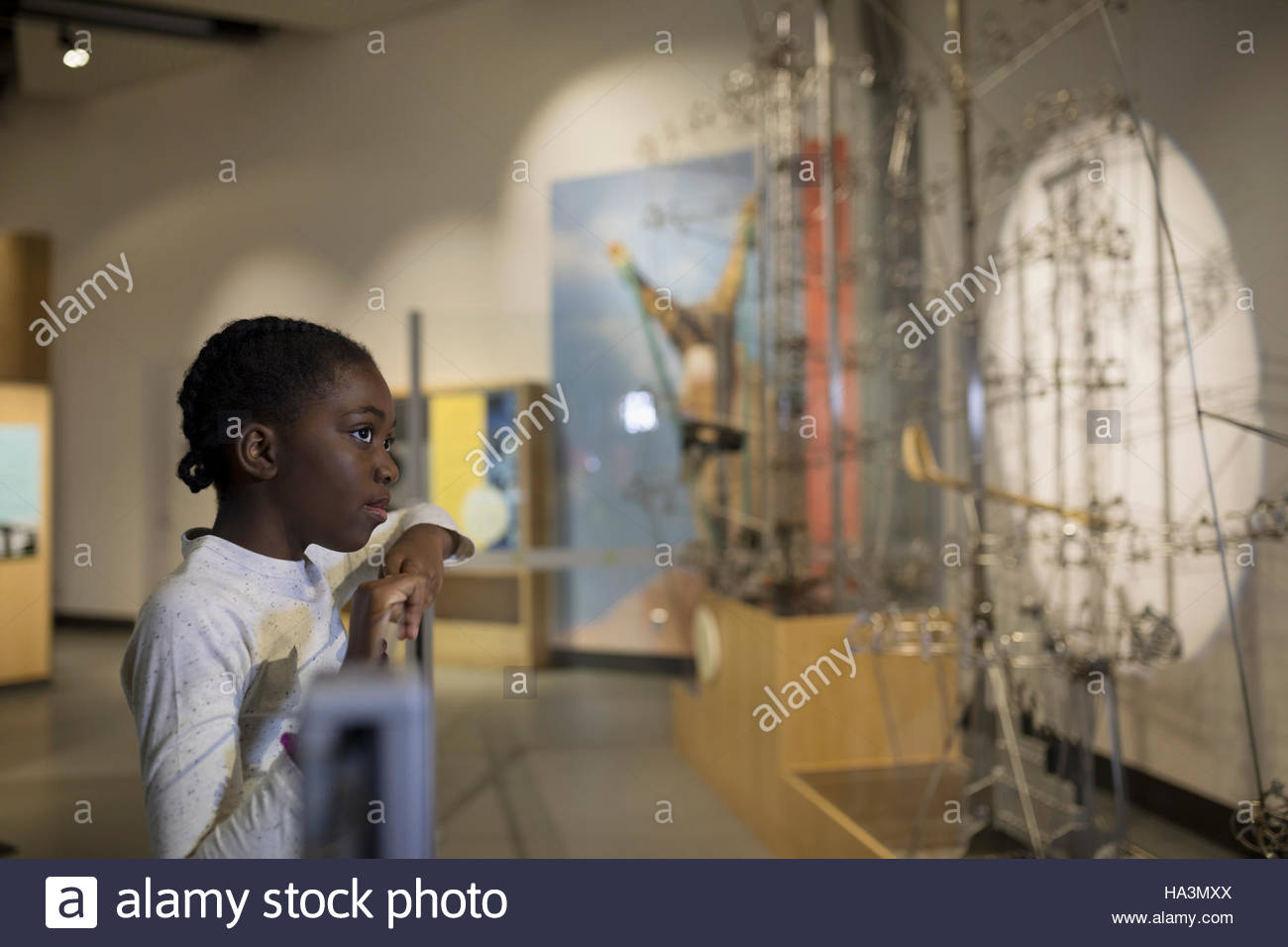 Curious girl watching display in science center Stock Photo - Alamy