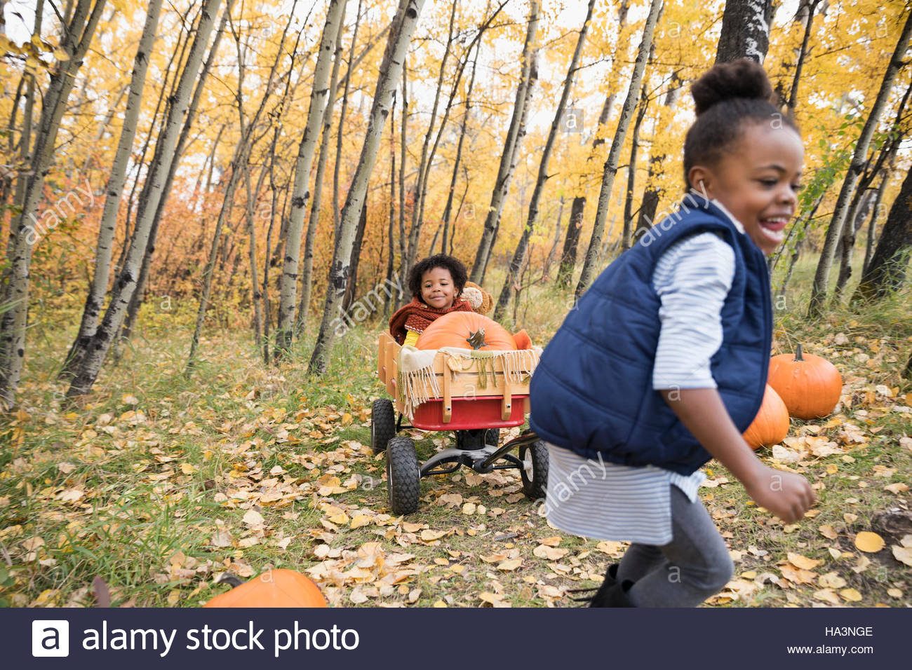 Girl pulling wagon hi-res stock photography and images - Alamy
