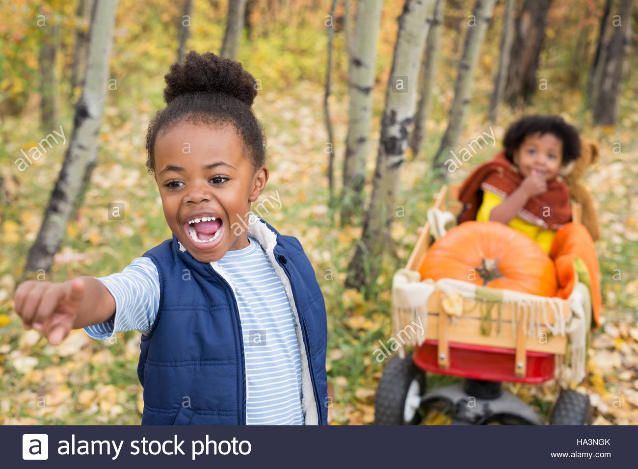 Pulling pumpkin in wagon hi-res stock photography and images - Alamy