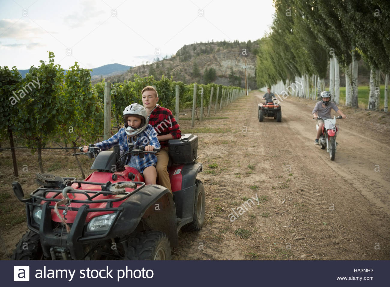 Boy driving quadbike hi-res stock photography and images - Alamy