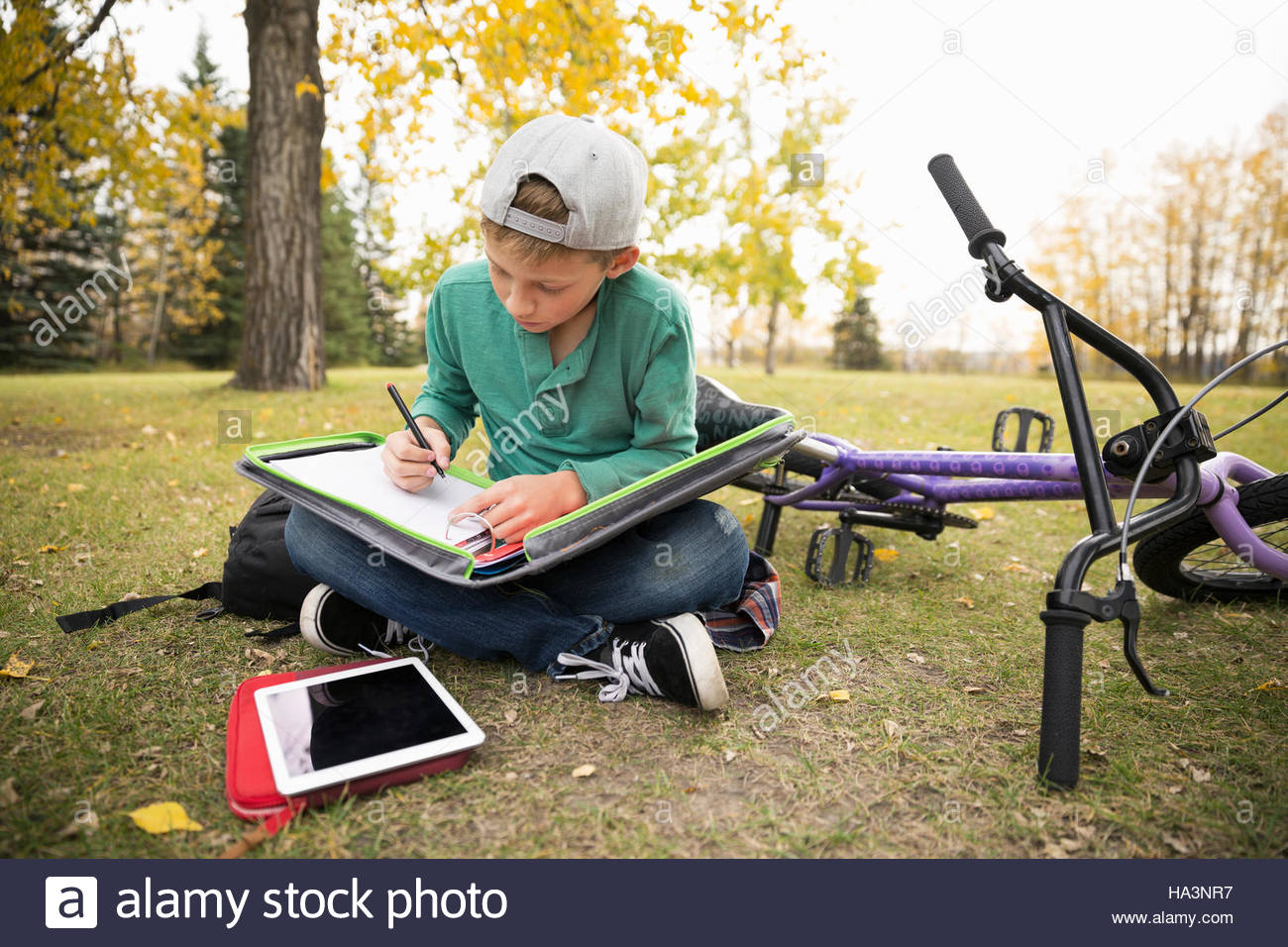 Tween boy doing homework in autumn park Stock Photo - Alamy