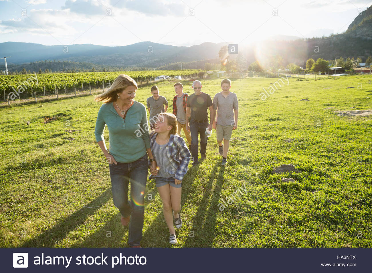 Family walking in sunny field on rural farm Stock Photo - Alamy