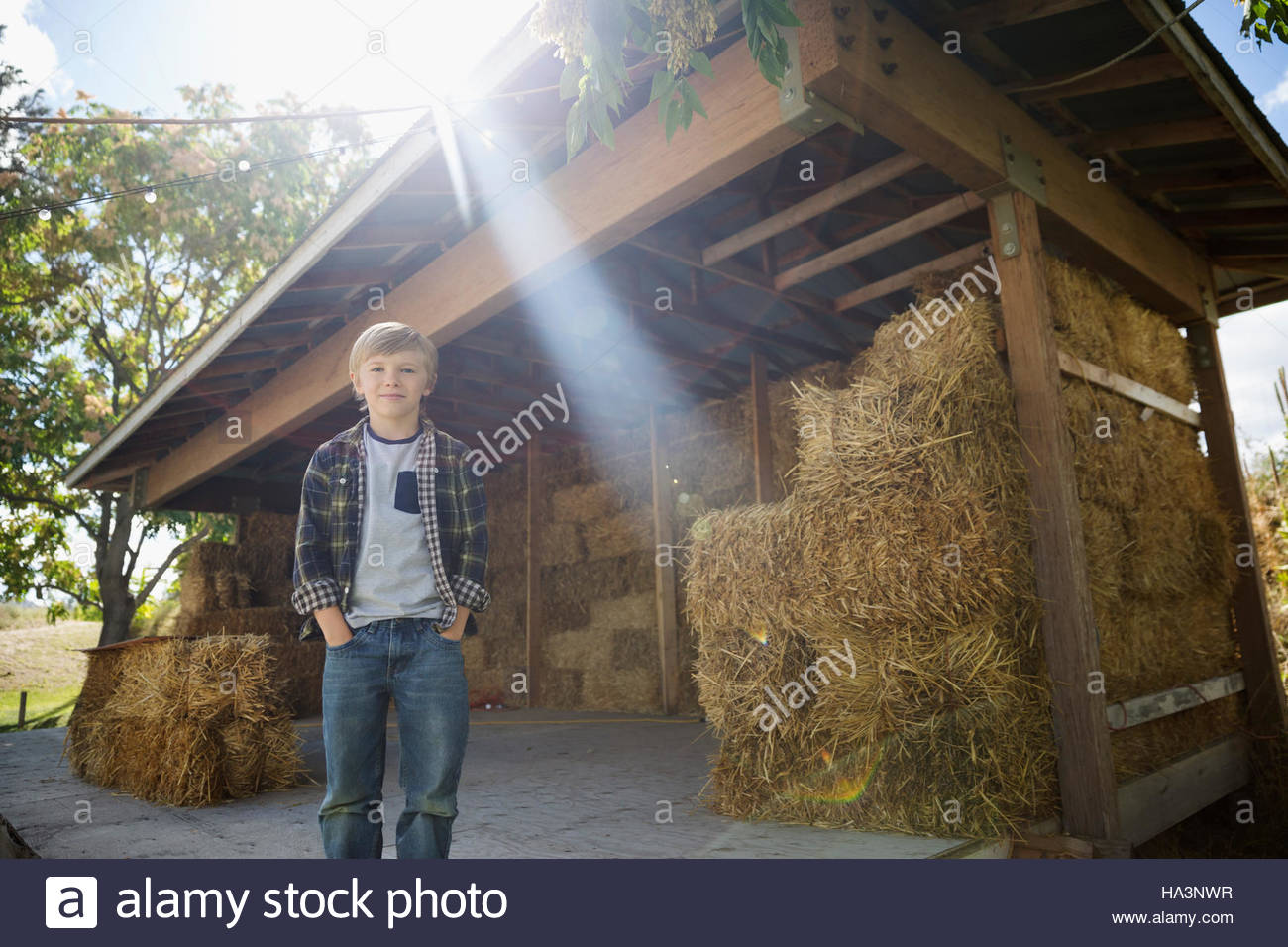 Boy hay smiling bale hi-res stock photography and images - Alamy