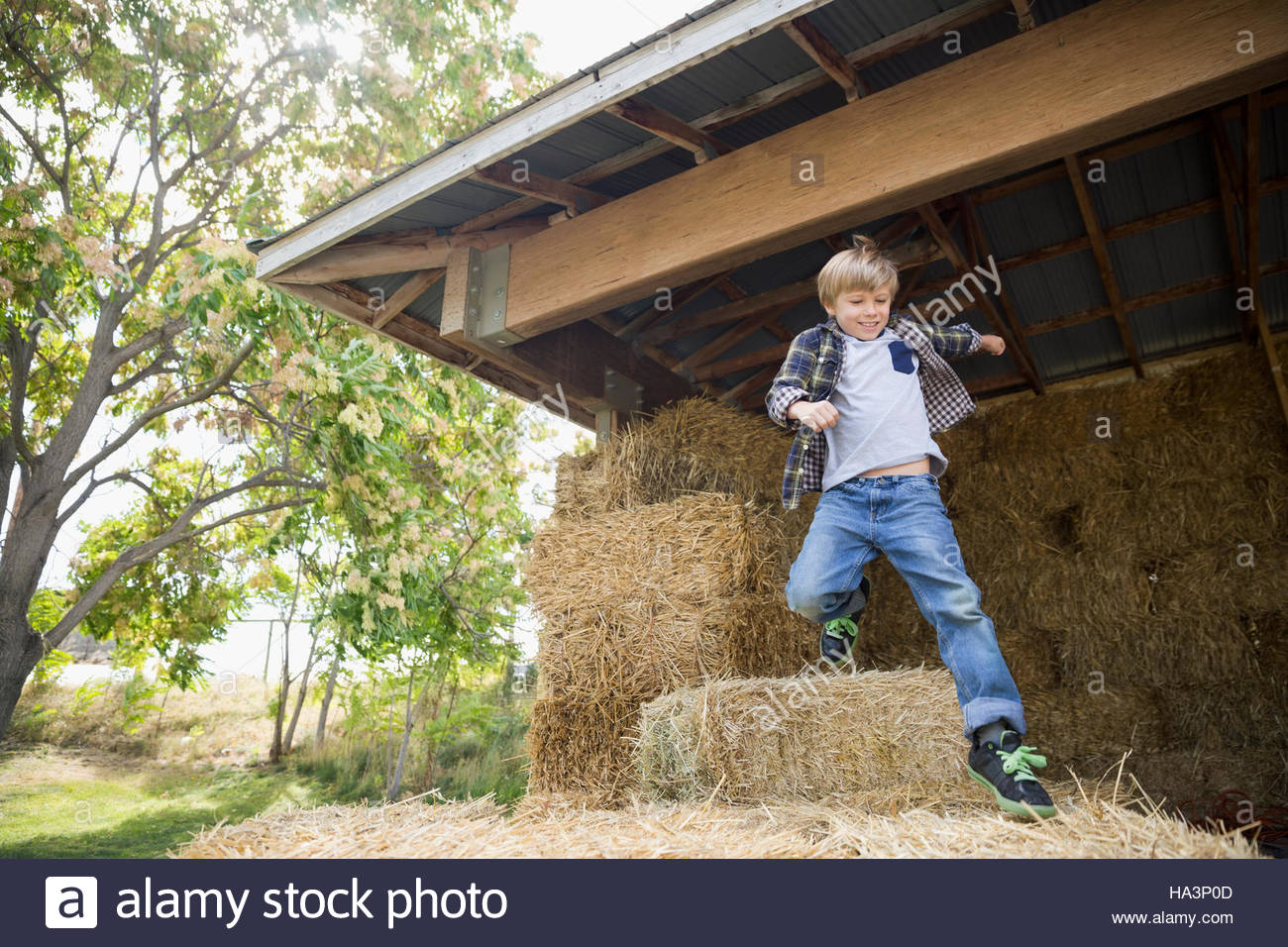 Boy playing on bales hay hi-res stock photography and images - Alamy