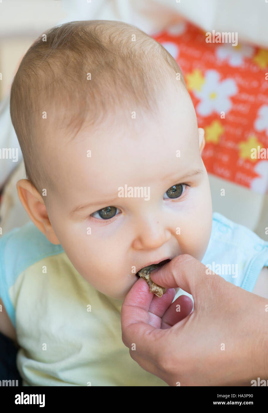 Baby eats alone. Eating homemade biscuits Stock Photo - Alamy