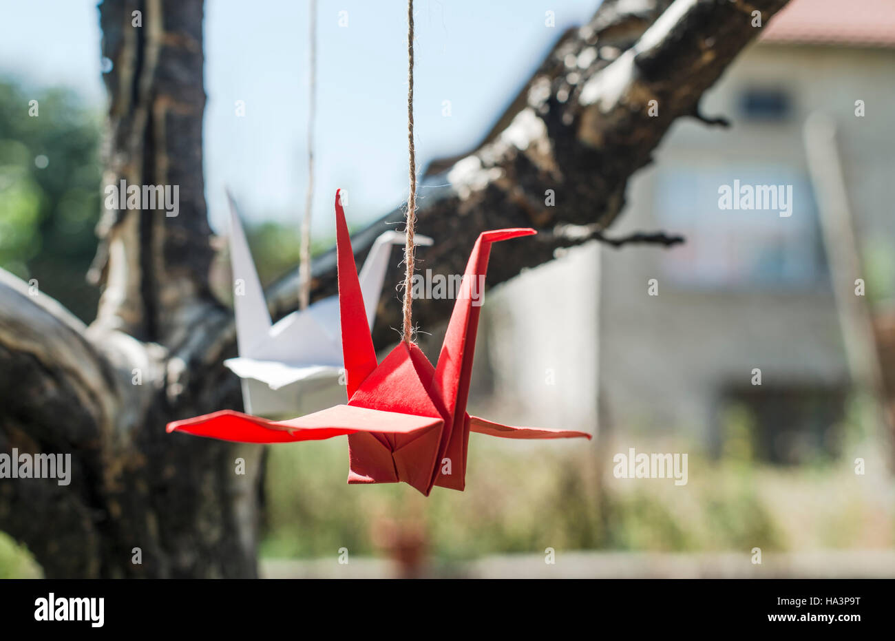 Origami cranes in the garden. Figures of paper in the nature. Red and ...