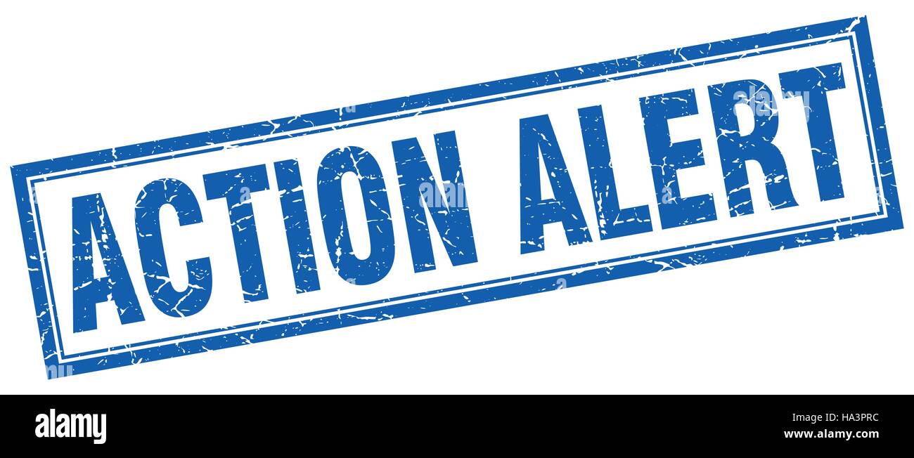 action alert square stamp Stock Vector Image & Art - Alamy
