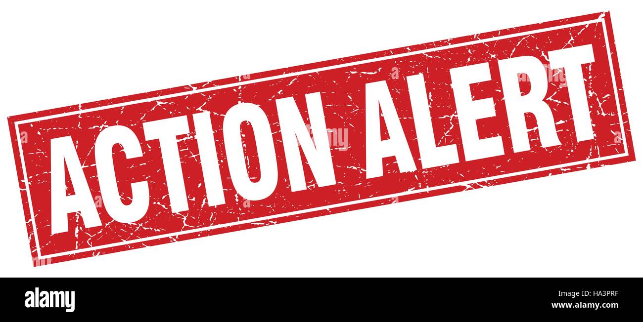 action alert square stamp Stock Vector Image & Art - Alamy