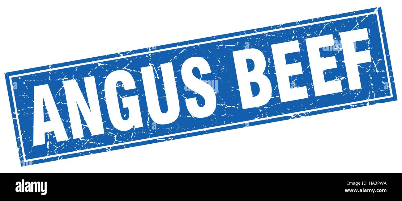 angus beef square stamp Stock Vector Image & Art - Alamy