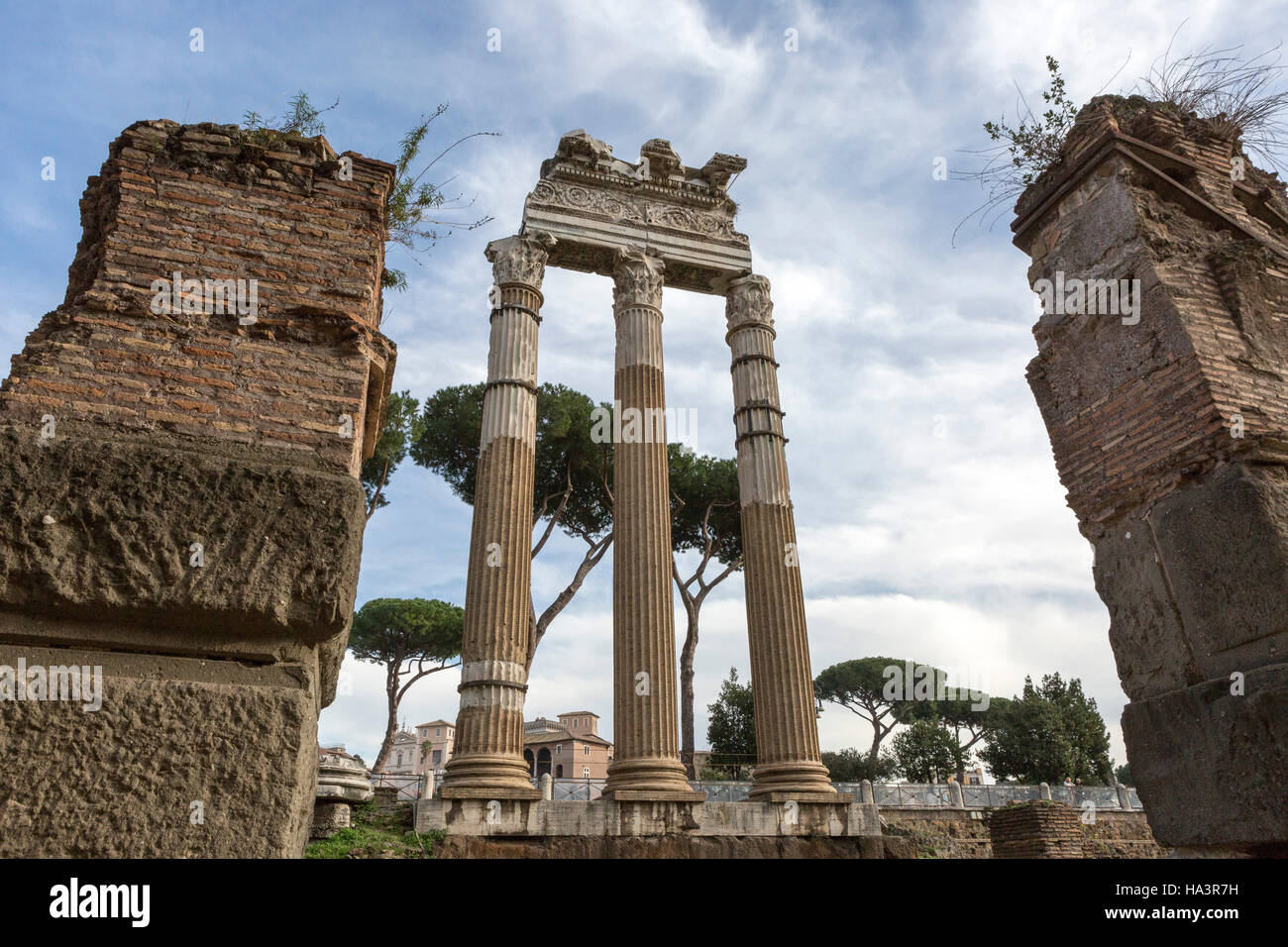 Venus genetrix temple hi-res stock photography and images - Alamy