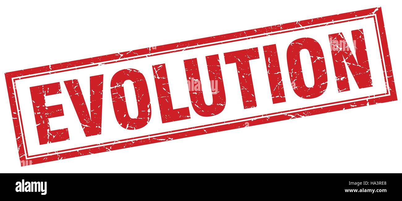 evolution square stamp Stock Vector Image & Art - Alamy