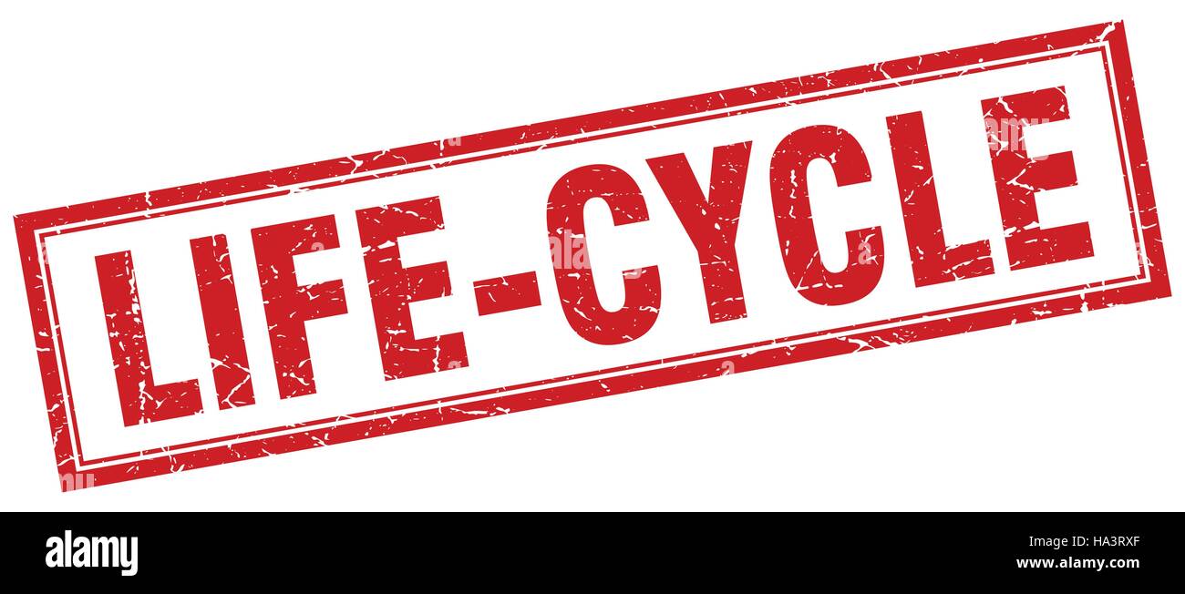 life-cycle square stamp Stock Vector Image & Art - Alamy