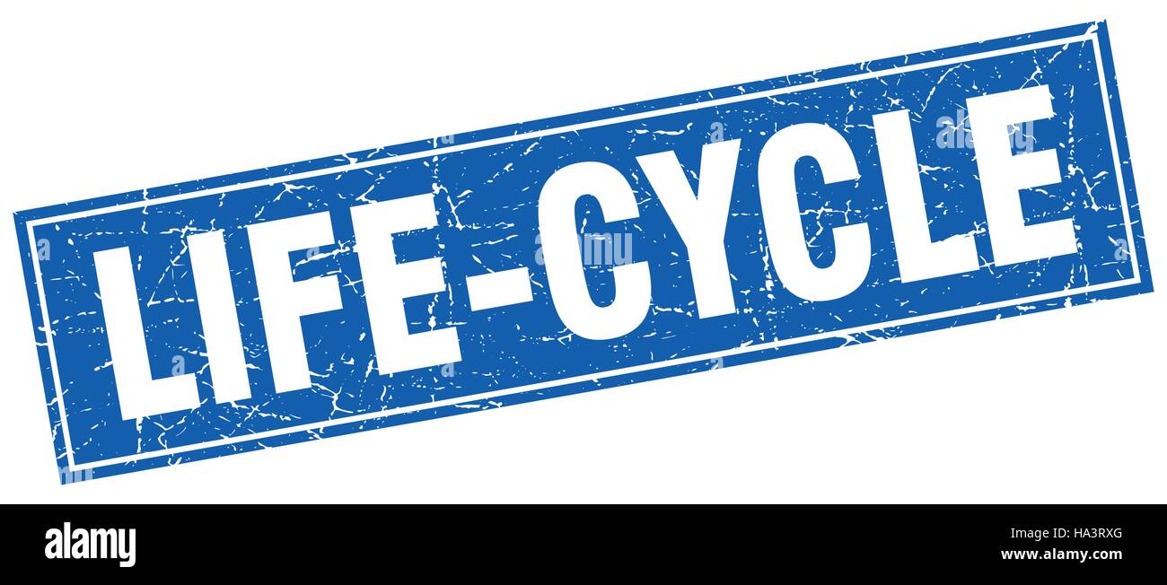 life-cycle square stamp Stock Vector Image & Art - Alamy
