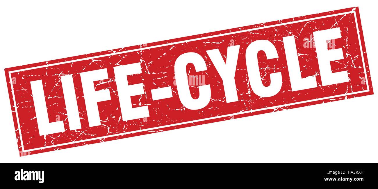 life-cycle square stamp Stock Vector Image & Art - Alamy
