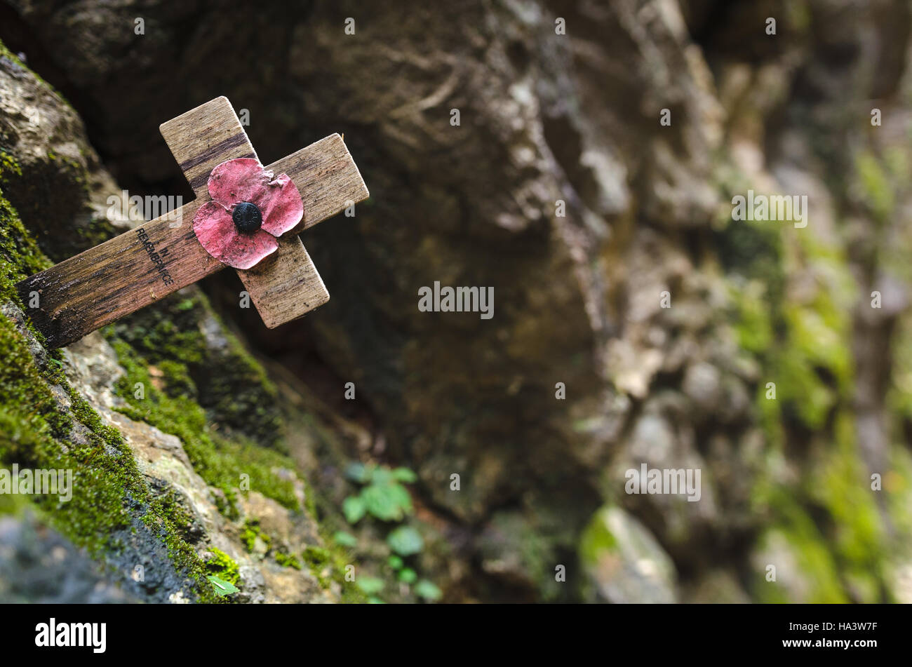 Remembrance cross hi-res stock photography and images - Alamy